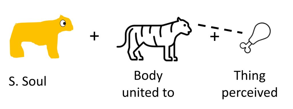 The Vegetative Soul - St. John Vianney Lay Division